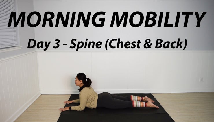 Spinal Mobility Stretch & Flow Morning Mobility Yoga Program | Yoga ...