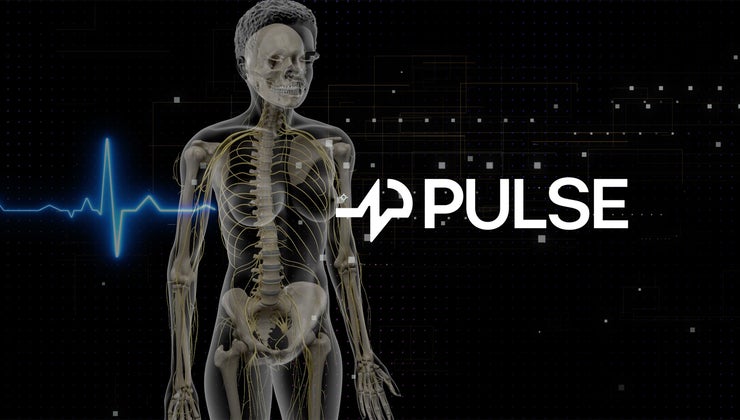 Pulse Animation Intro _final.V2_4k