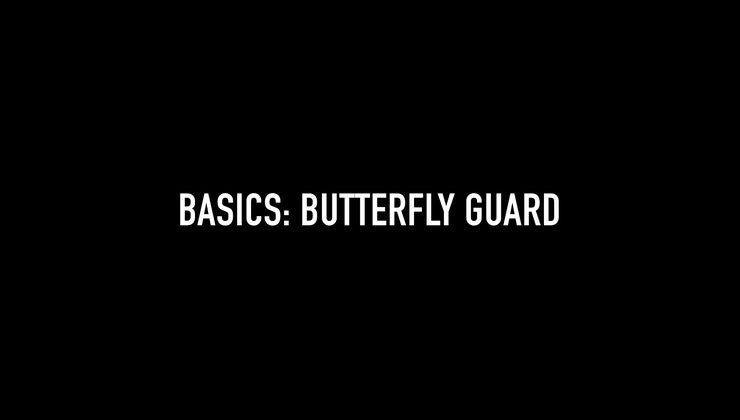 Basics: Butterfly Guard