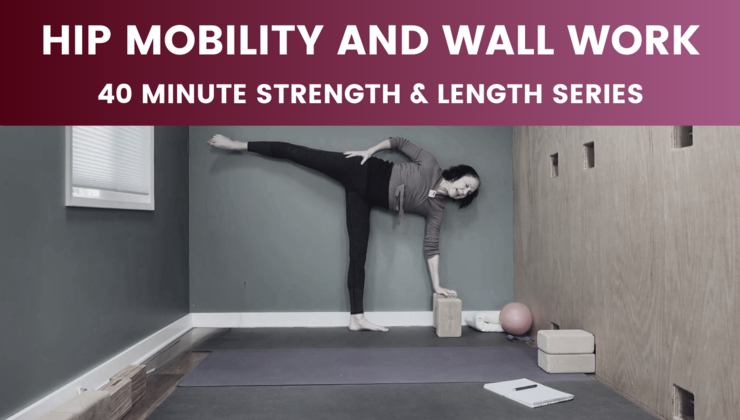 Hip Mobility And Wall Work