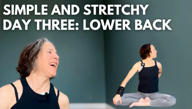 Simple And Stretchy Day Three Lower Back