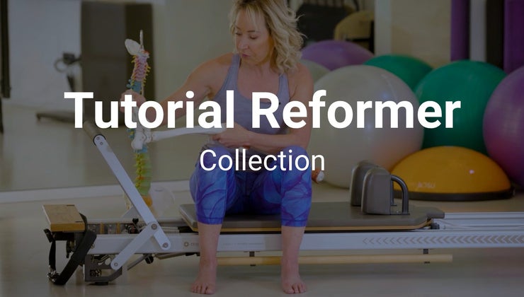 Tutorials Reformer (Pro Bundle)