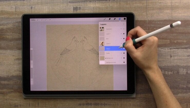 Layout And Sketching for Your Bird Illustration