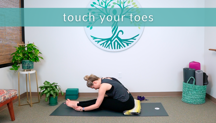 Yoga Head To Toe: Touch Your Toes (Day 5)