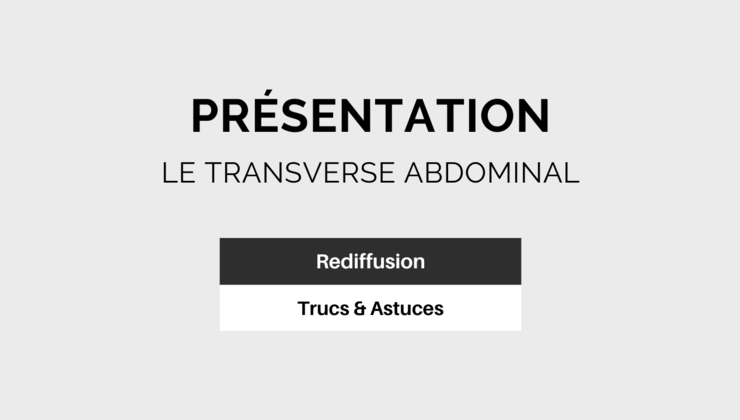 Présentation | Transverse abdominal | STUDIO MOTION