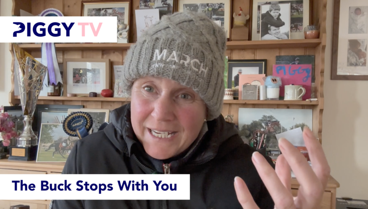 The Buck Stops With You | Piggy TV