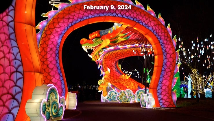 Friday, February 9: Chinese New Year Sparks Travel | WORLD Watch