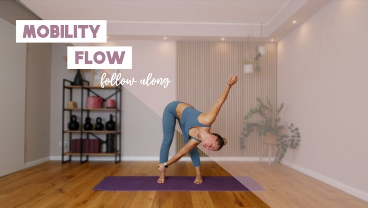 Mobility Flow
