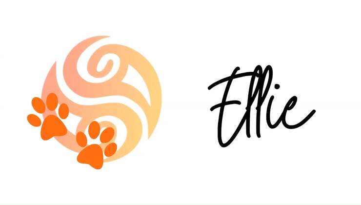 Pet's Program - Module 8: Ellie Transformation