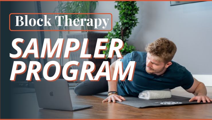 Block Therapy Sampler Program
