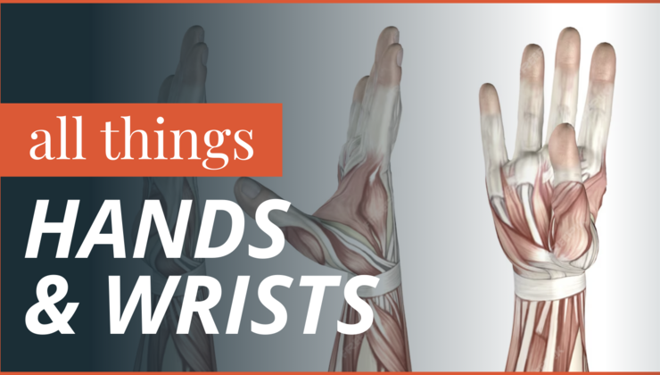 All Things Hands & Wrists