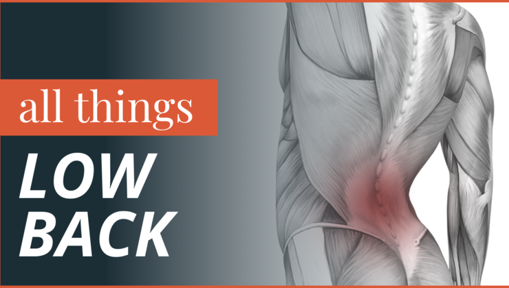 All Things Low Back