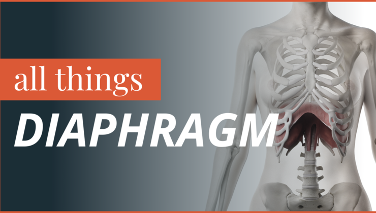 All Things Diaphragm