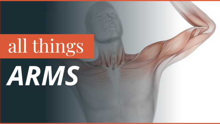 All Things Arms