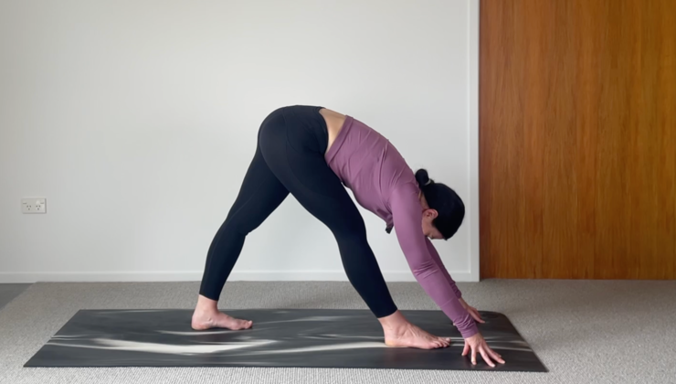 Class of the Week - Vinyasa Flow | Barre Base Anywhere