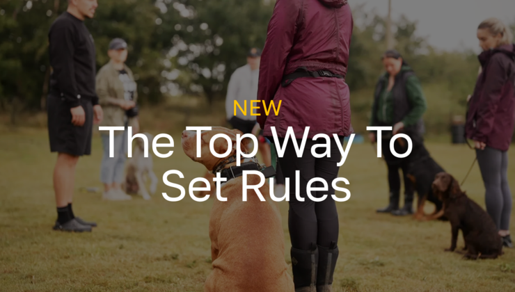 Yca_training_guide_1_-_rule_setting,_intro_to_handling (1080p)