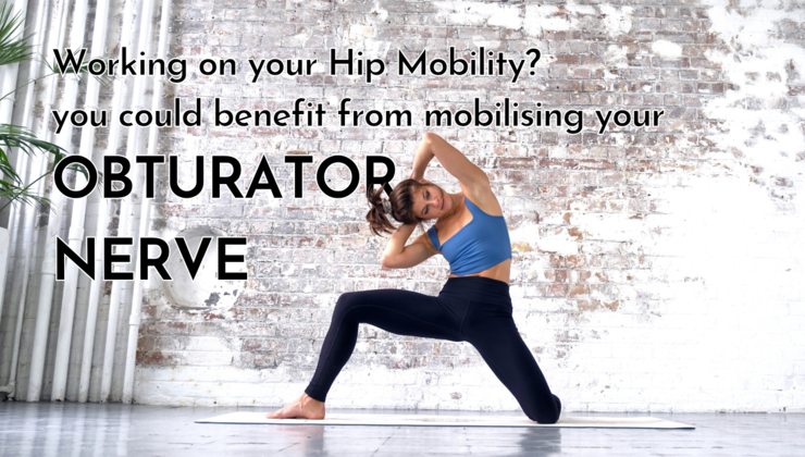 Obturator Nerve Hip Mobility And Hip Flexors