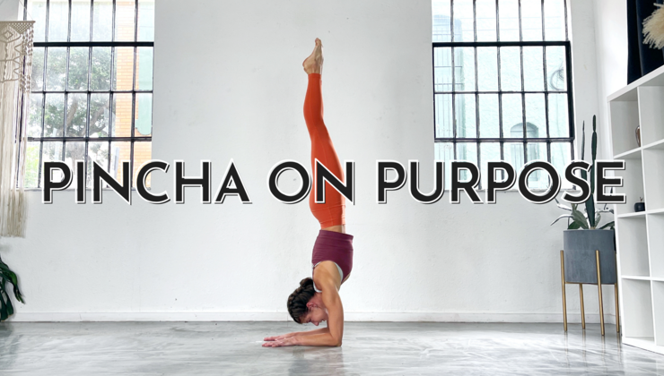Pincha on Purpose