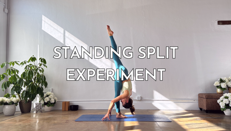 The Standing Split Experiment
