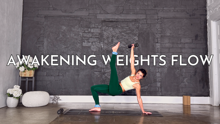 Awakening Weights Flow