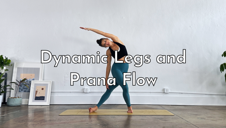 Dynamic Legs & Prana Flow