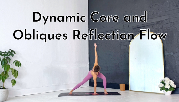 Dynamic Core and Obliques Reflection Flow