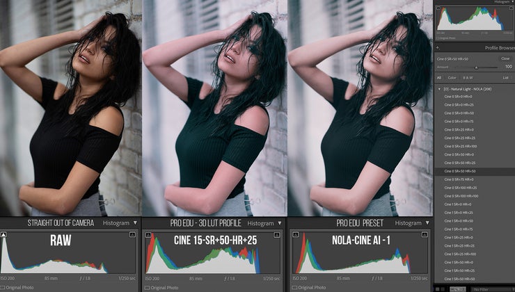 3D LUT Profiles & Color Grading Presets: NOLA Natural Light