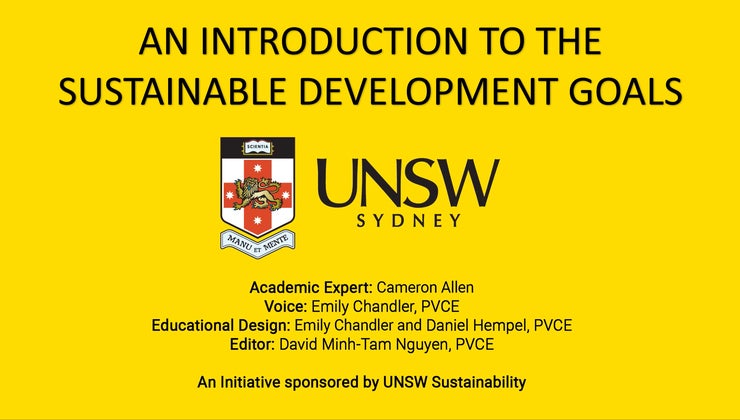 Sustainable Development Goals - Introduction | SDG Vision