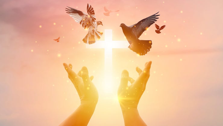 Fr. Bob Hogan's Teachings