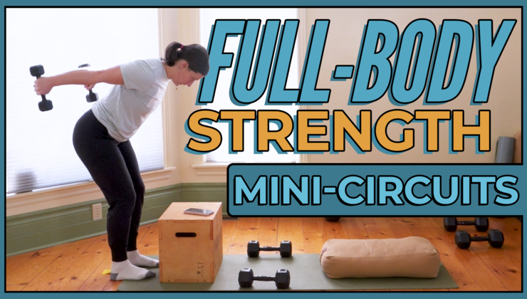 Full Body Strength Mini Circuit | Mindful Strength
