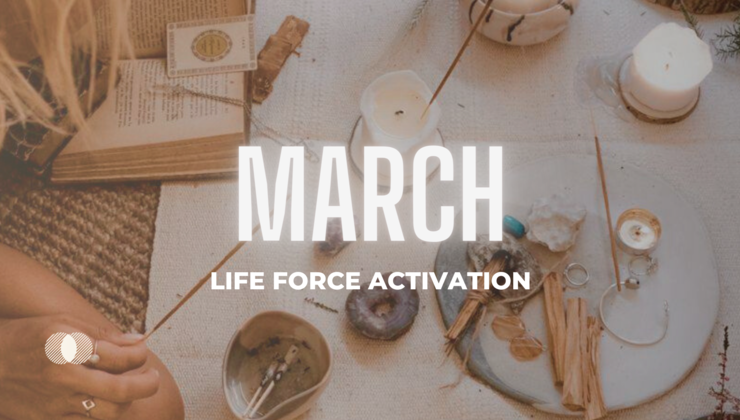 March Monthly Drop - Life Force Activation