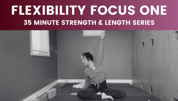 Flexibility Focus One | The Elevate Practice