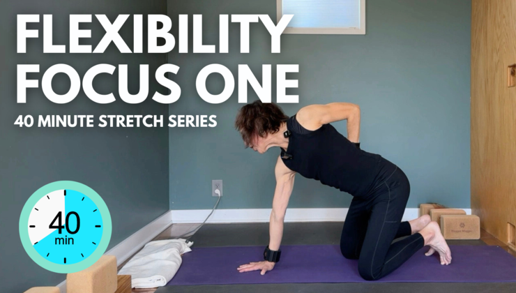 Flexibility Focus One