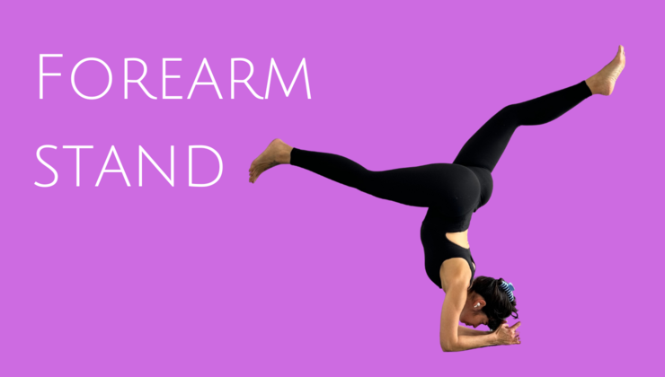 Forearm Stand Breakdown