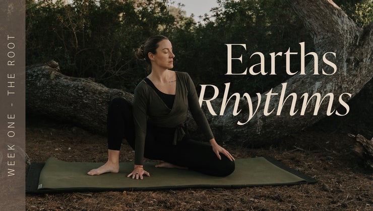 Root - Rhythmic Flow