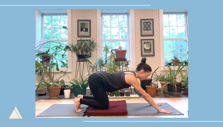 Intro to Spine Mobility: Level 1 Beginner Appropriate