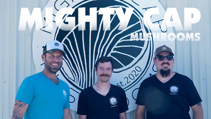 Mightycap | MycoWizards