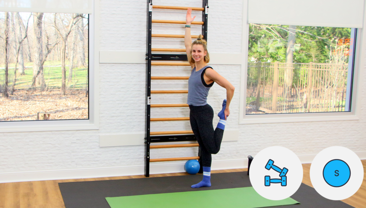 Strength and Mobility Pilates Mat Series Workout #7 (video)