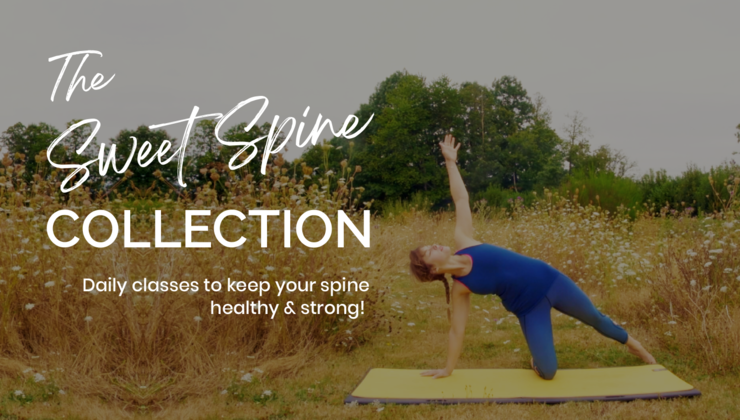 The Sweet Spine Collection