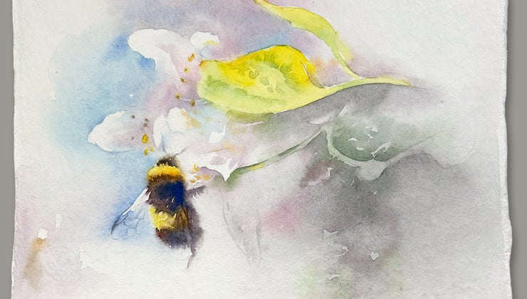watercolor_class_online_Bumble_Bee | Dylan Scott Pierce Online ...