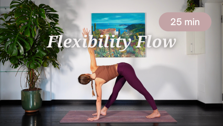 Flexibility Flow: Legs, Hips, and Heart Openers