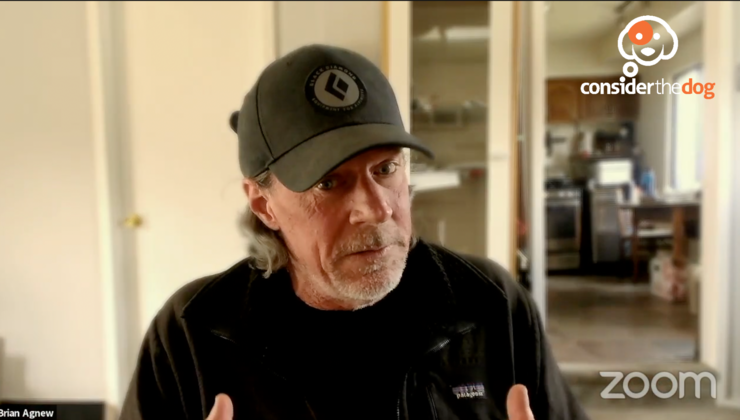 Live Group Coaching with Brian Agnew