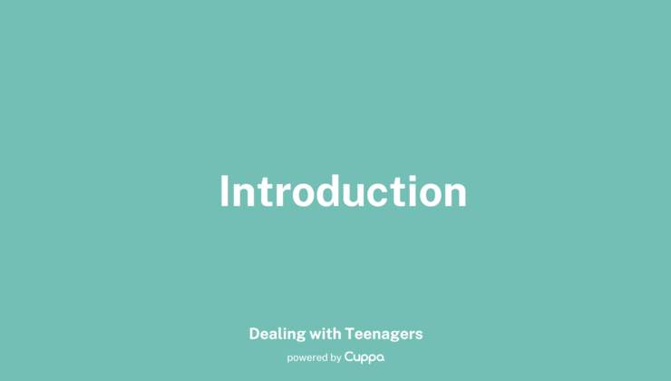 Dealing With Teenagers Introduction Module