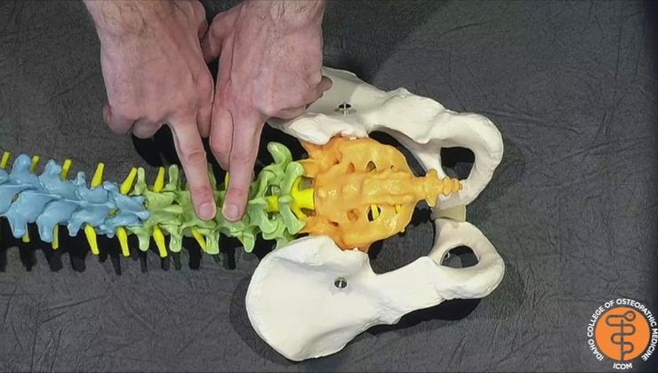 Lumbar BLT | OMT Video Library