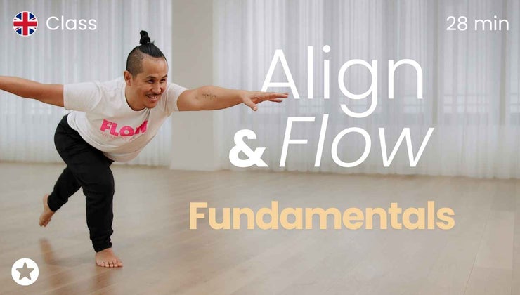 Align & Flow - Fundamentals