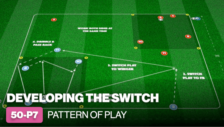 Developing the Switch | 50-P7