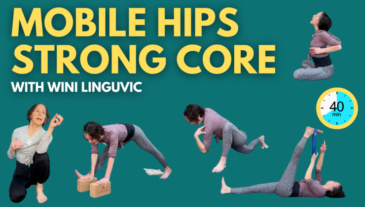 Mobile Hips Strong Core | The Elevate Practice