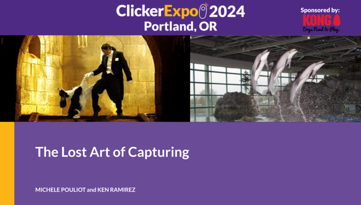 The Lost Art of Capturing | Video on Demand by Karen Pryor Clicker Training