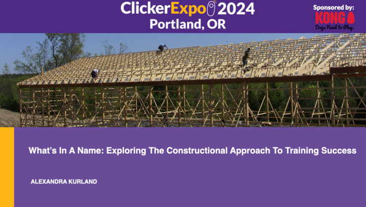 What’s in a Name? Exploring the Constructional Approach to Training Success | Video on Demand by ...