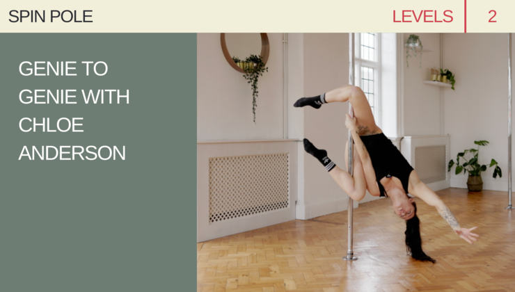 Genie To Genie Spin Pole